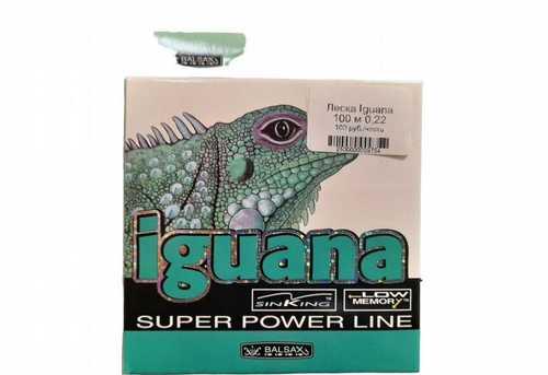 Леска Iguana