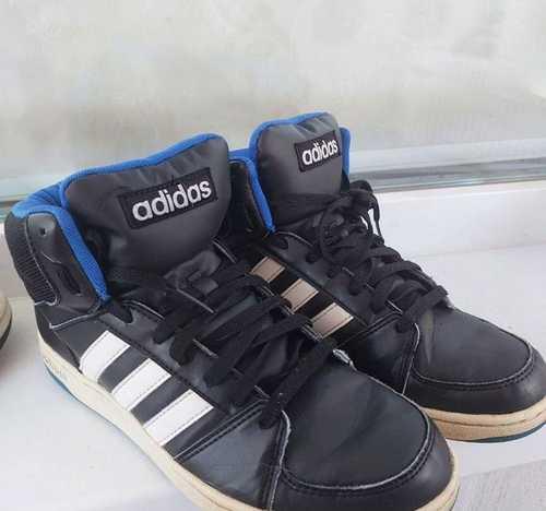 Кеды adidas