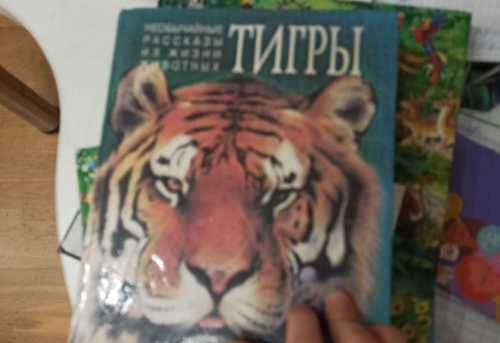 Книга про медведей и тигров