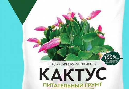 Грунт для цветов комнатных кактусов и суккулентов