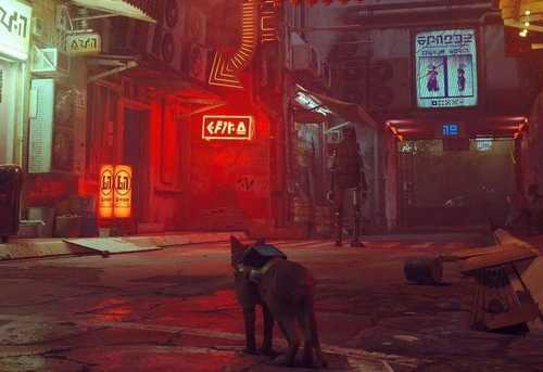 Воронеж Stray PS4/Ps5