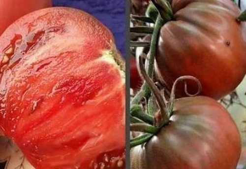 Семена коллекционных томатов Алифирова