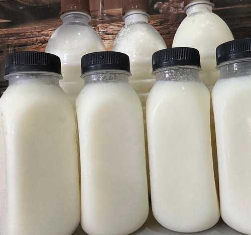 Продам барсучий и сурчинный жир