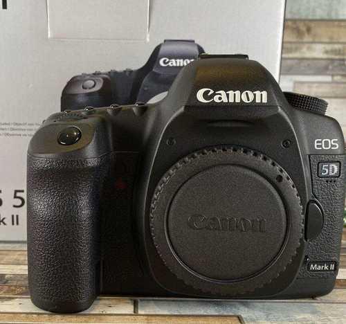 Фотоаппарат Canon EOS 5D Mark II. 1974 кадров