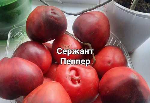 Семена редких сортовых помидор