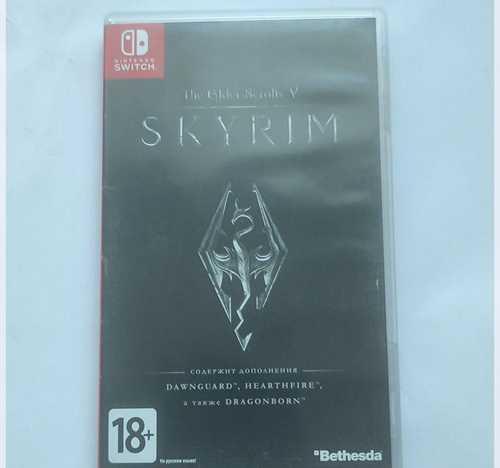 Skyrim nintendo switch