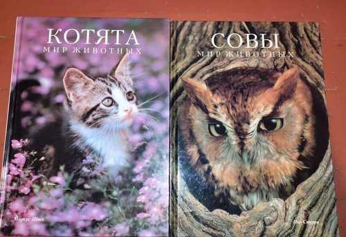 Мир животных белфакс: совы, котята