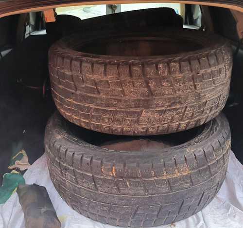 Dunlop All Season Maxx AS1 265/50 R20