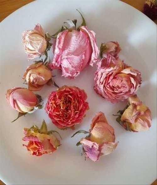 Роза сухая, сухоцветы, сушеные цветы