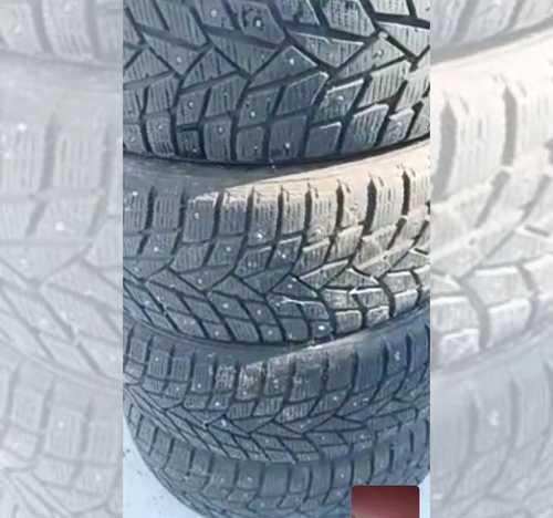 Dunlop Grandtrek AT22 255/55 R19