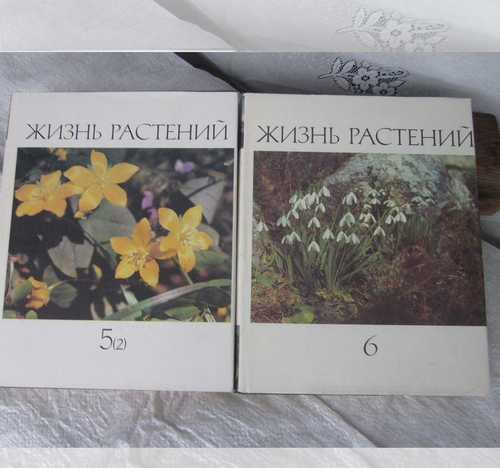 Жизнь растений 1981-82г. №5(2) и 6