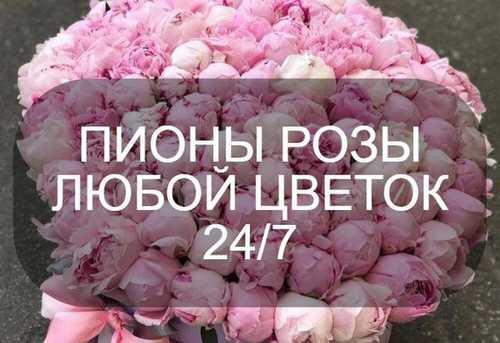 Пионы цветы с доставкой от производителя 24 7