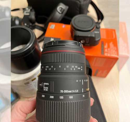 Sigma 70-300 for Sony