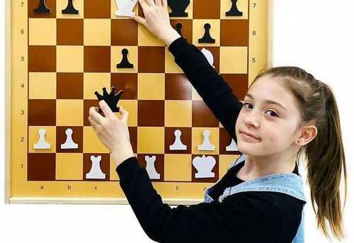 Шахматы+шашки демонстр.магнитные новые