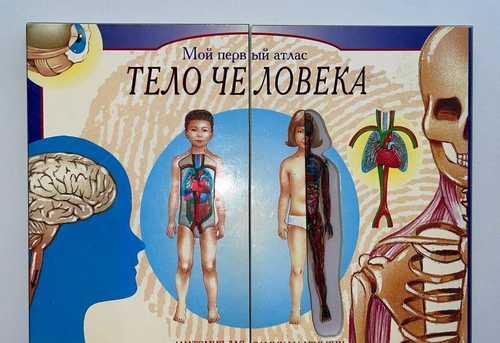 Анатомия человека, детская книга