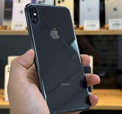 iPhone Xs Max, 256 ГБ