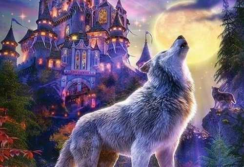 Картина по номерам 40x50 Волк у подножья замка