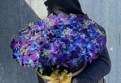 Коробка синих орхидей "Космос цветы на 14 февраля"