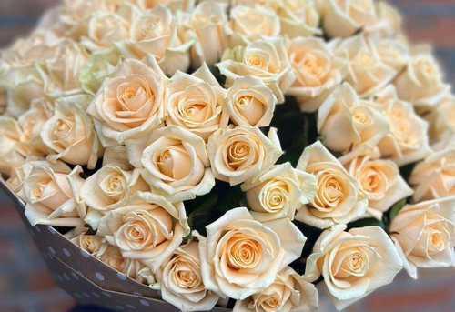Роза 51 101 букет роз цветы доставка