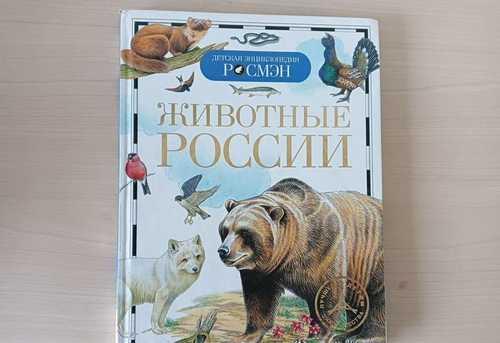 Детская энциклопедия "животные россии"