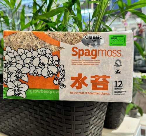 Мох сфагнум Spagmoss Новая Зеландия