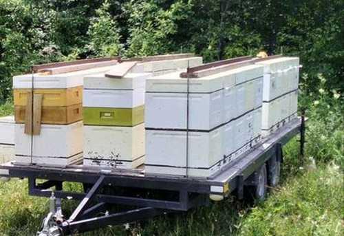 Прицеп для перевозки пчёл