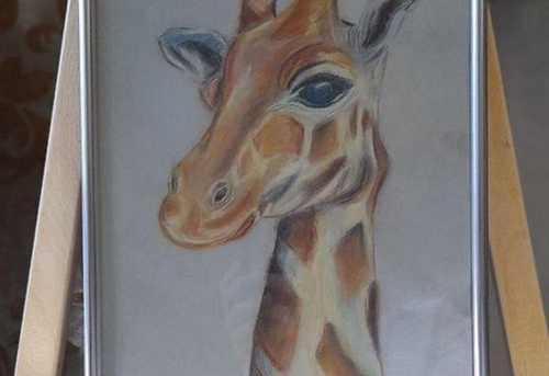 Картина жираф пастелью