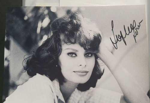 Автограф Софи Лорен (Sophia Loren)