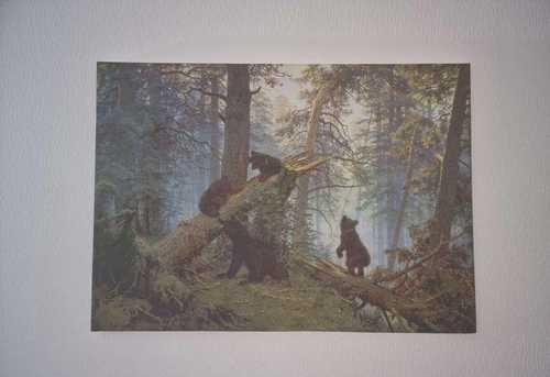 Картина репродукция. И.Шишкин Утро в Сосновом лесу