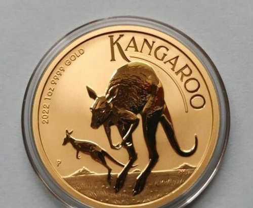 Золотая монета"Кенгуру" 2022 г.в.31.1 г ч.золота