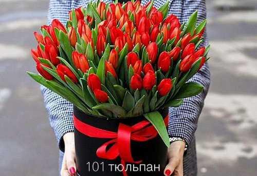 Букет тюльпанов 101-51-31