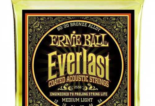 Струны для акустической гитары Ernie Ball 2556 Eve