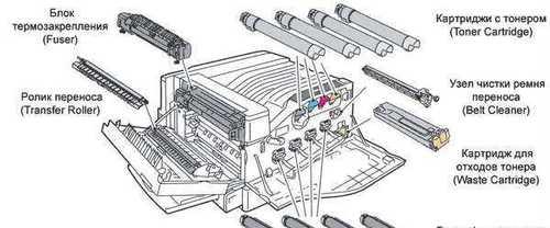 Принтер Xerox Phaser 7500 на разбор