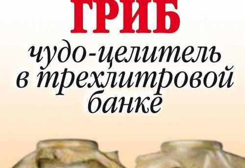 Чайный гриб комбуча