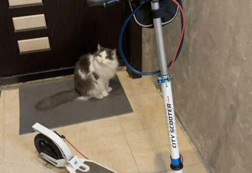 Самокат складной взрослый tech team city scooter
