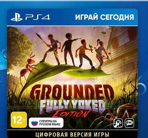 Grounded PS4