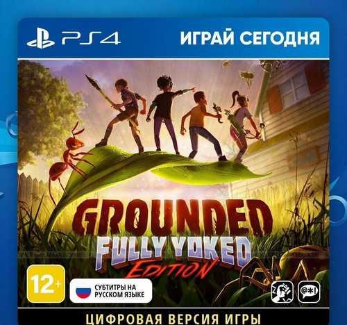 Grounded PS4