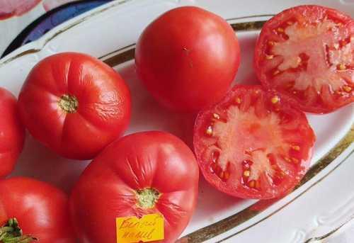 Набор семян низкорослых томатов 7 сортов