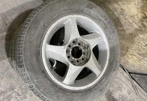 Sava Perfecta 175/70 R14