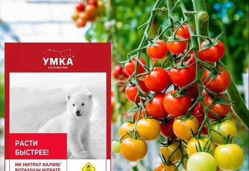 Нитрат калия KNO3 из Беларуси