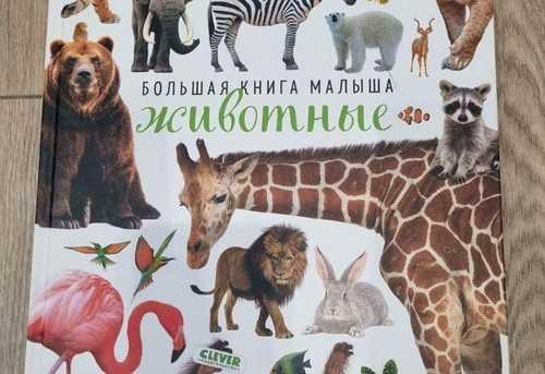 Большая книга малыша Животные