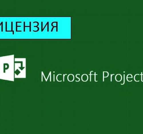 Ключ Microsoft office 2010 - 2021, Project 3317