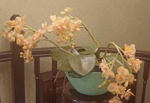 Цветок декоратиыный. Орхидея