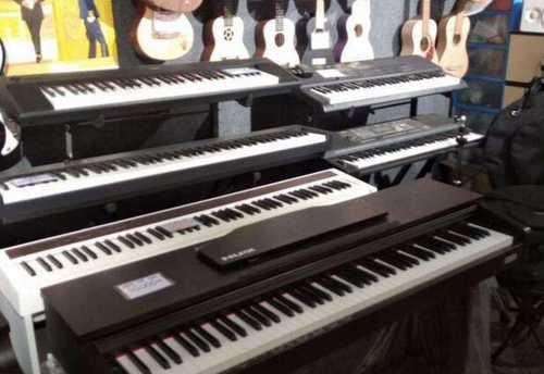 Цифровве пианино и синтезаторы