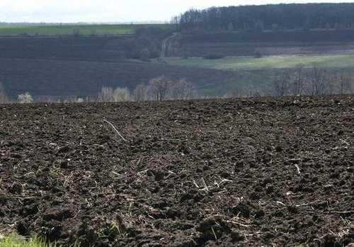 Чернозем Почвогрунт - ЗИЛ 5 тонн