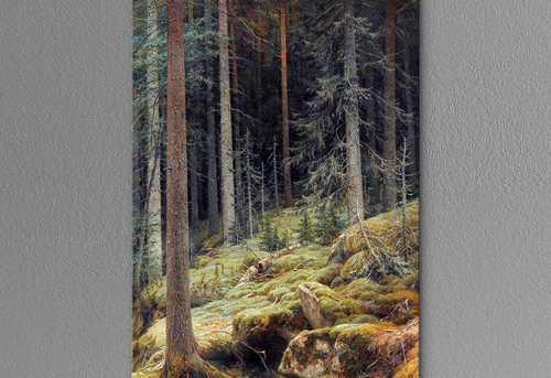 Картина "Дебри" Шишкин И. И. 50х70 см