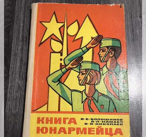 Волошинов, Книга юнармейца