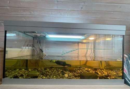 Аквариум для черепахи 180 литров