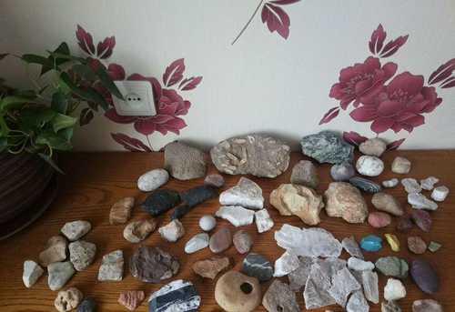 Окаменелости минералы камни