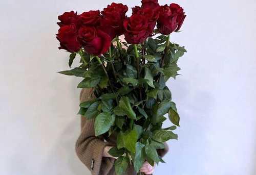 Розы 1 метр